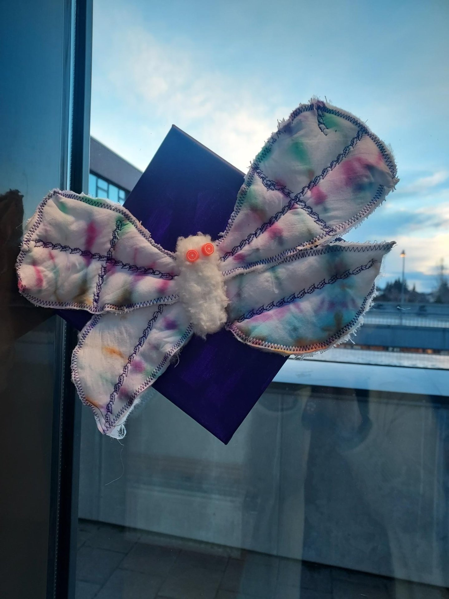 Fiðrildafangarar í 6. bekk | Egilsstaðaskóli